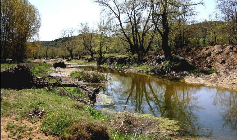 Χαλκιδική: Βιολογικοί λάσπης και... εκατομμυρίων - ΚΑΡΦΙΤΣΑ