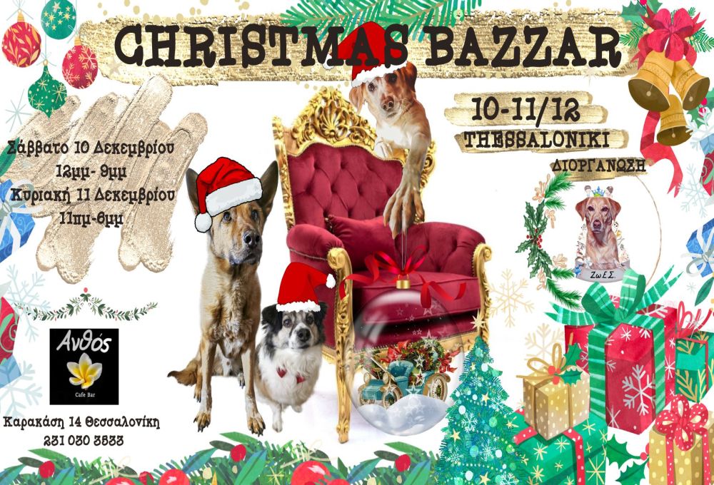 Θεσσαλονίκη: Χριστουγεννιάτικο bazaar για αδέσποτα - ΚΑΡΦΙΤΣΑ