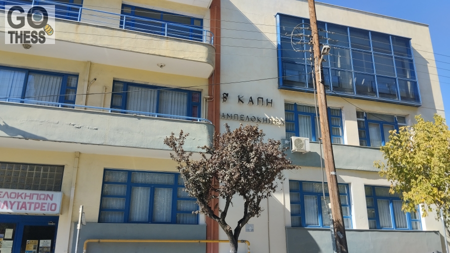 Θεσσαλονίκη: Εργαστήριο ψηφιακών δεξιοτήτων στα Β΄ΚΑΠΗ - ΚΑΡΦΙΤΣΑ