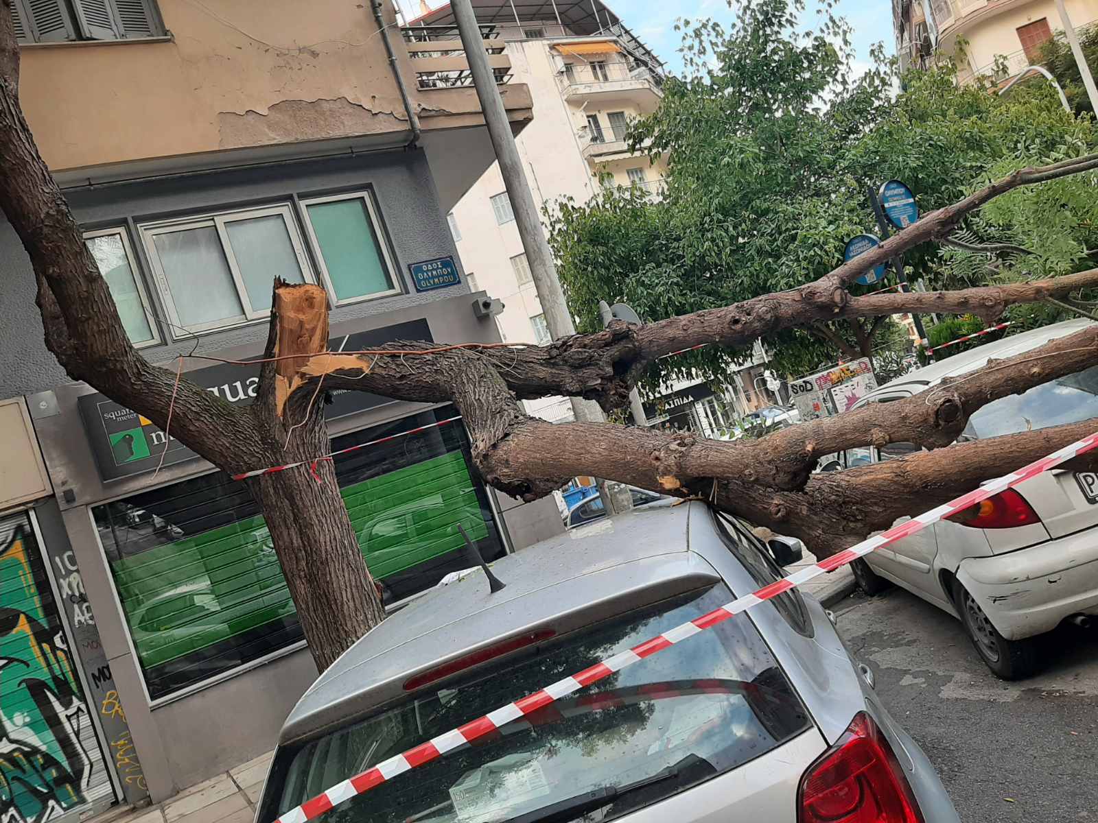 Θεσσαλονίκη: Μεγάλο δέντρο έπεσε σε σταθμευμένο όχημα στο κέντρο (ΦΩΤΟ ...