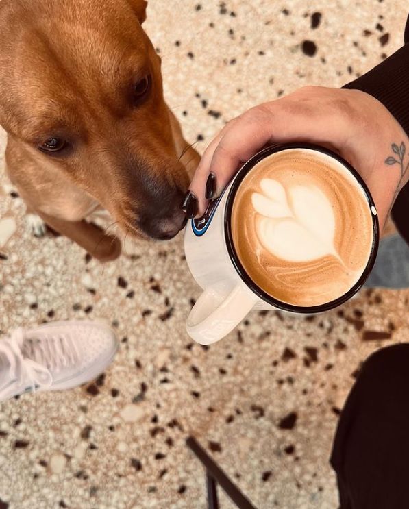 «Waka Maka»: Ποιοτικός καφές και λαχταριστικά corn flakes από το ...