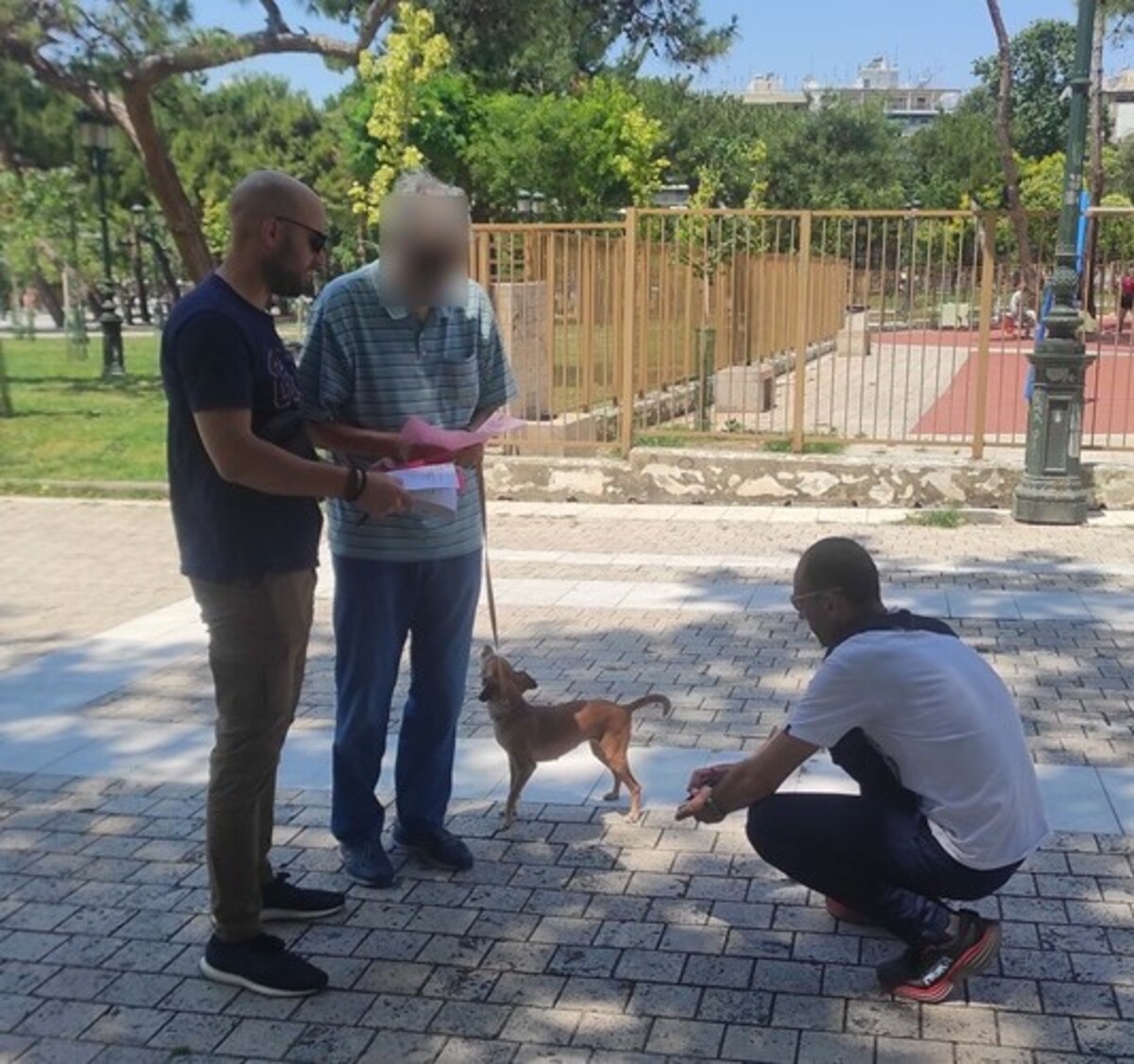 Θεσσαλονίκη: «Καμπάνες» για βόλτα με σκύλο χωρίς λουρί και ταυτότητα ...