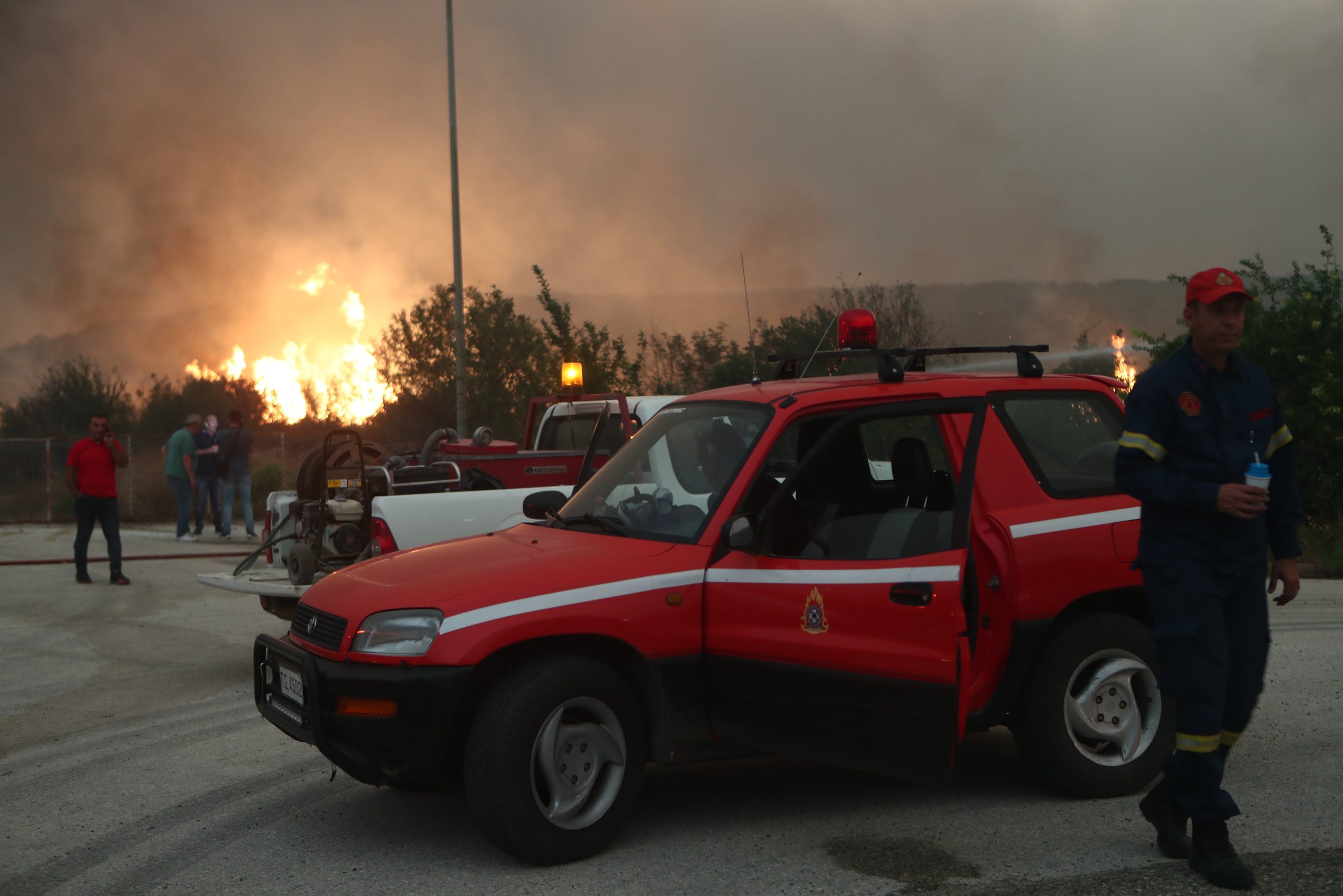Στους 26 οι νεκροί μετανάστες στο δάσος της Δαδιάς - Εντοπίσθηκαν ...