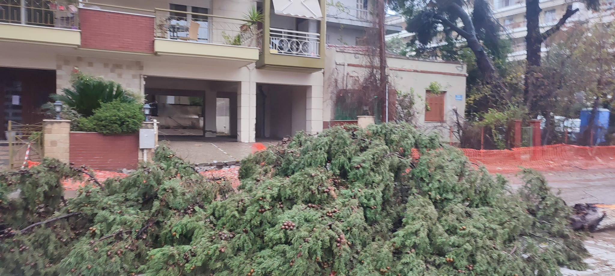 Θεσσαλονίκη - Κακοκαιρία Bora: Εικόνες καταστροφή στην Καλαμαριά (ΦΩΤΟ ...